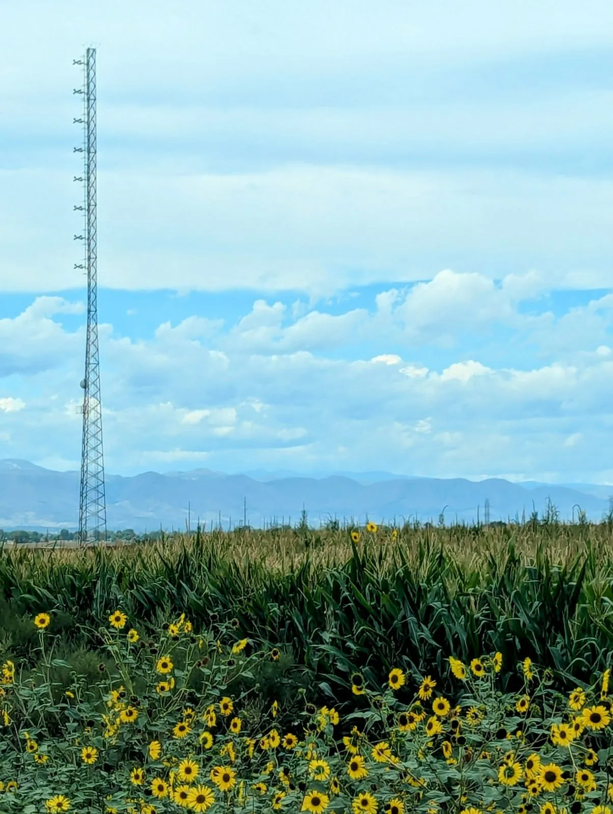 KRFC 88.9 FM Welcomes New Executive Director - Fort Collins Area ...